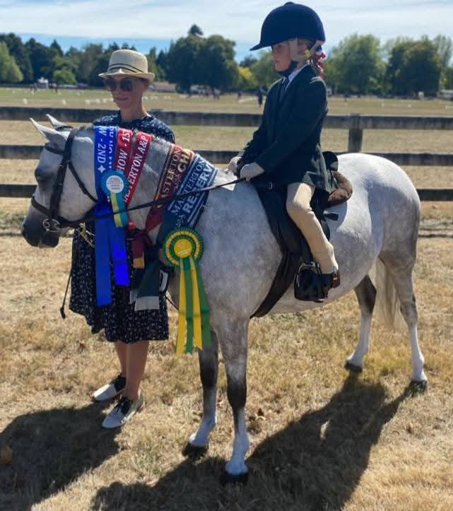 Beautiful 'Welsh' Child's Pony - Ridden or Lead Rein !!! - Quality NZ ...